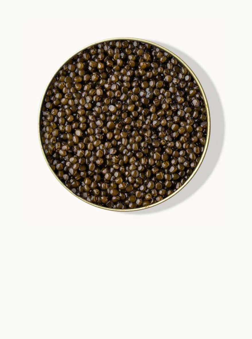 Petrossian Caviar | Discover the World's Finest Caviar Online
