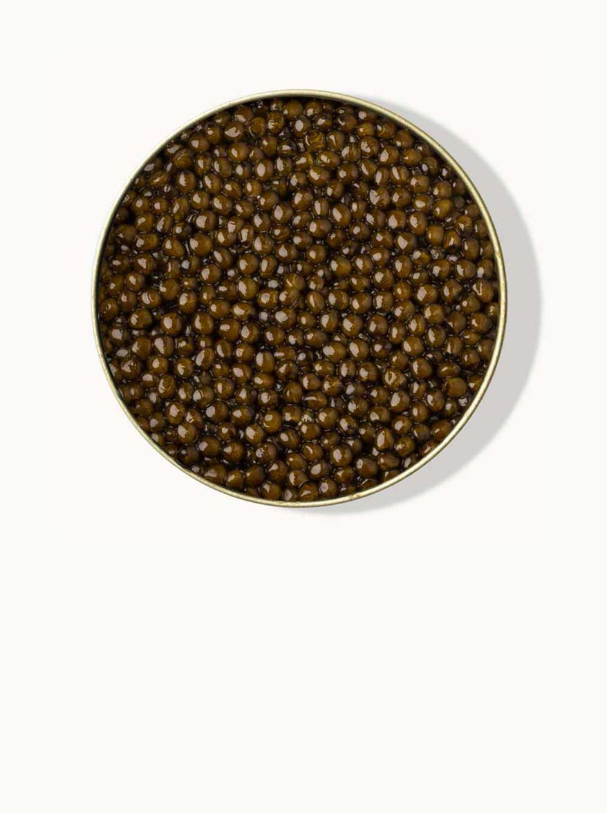 Petrossian Caviar | Discover the World's Finest Caviar Online