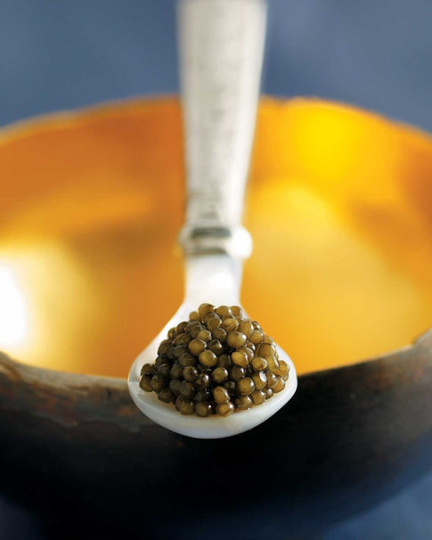Petrossian Caviar | Discover the World's Finest Caviar Online